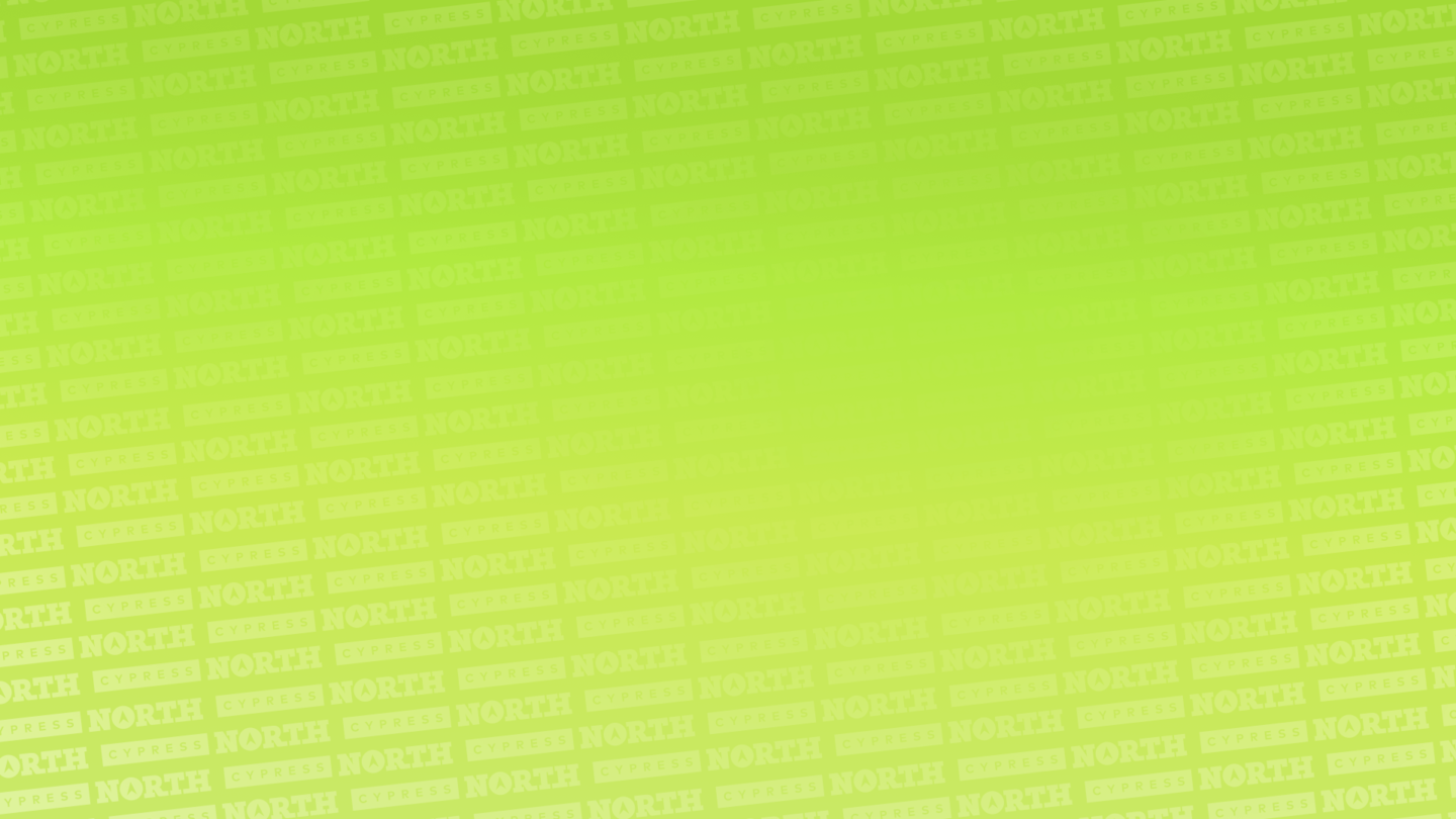 What to Include in a Year-End PPC Lead Gen Report | Cypress North